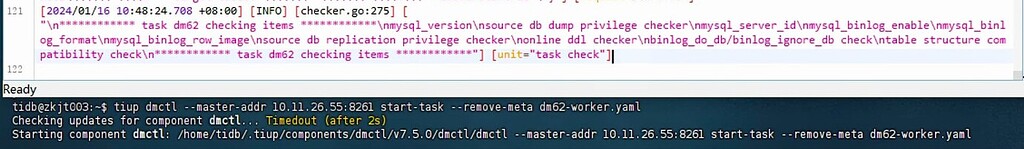DM did not start the worker - Translated - TiDB Forum