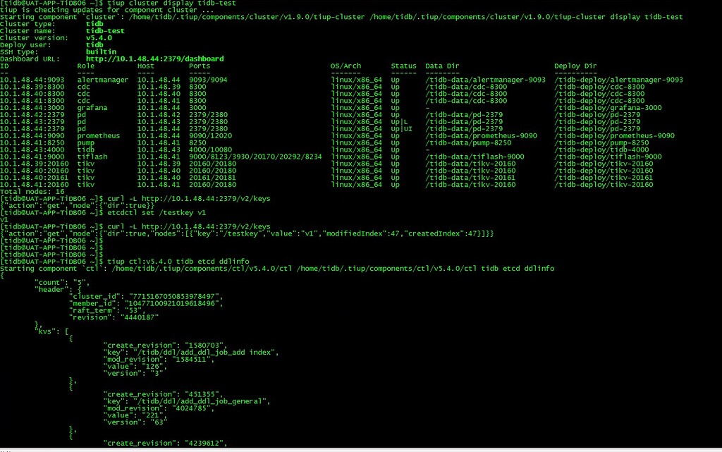 No data in PD's etcd? Or is my query method incorrect? - Translated - TiDB Forum